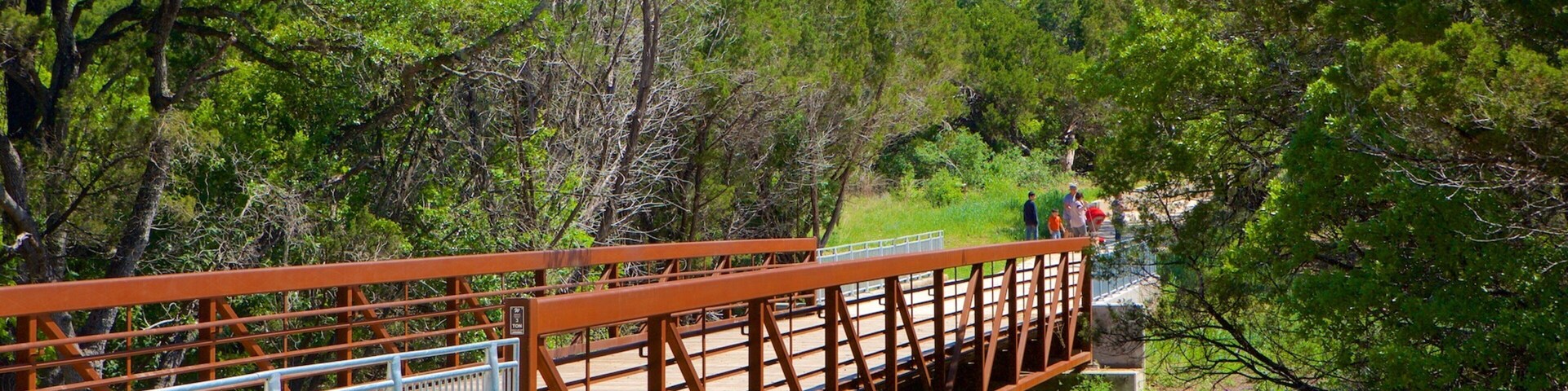Austin mostrando uma ponte e cenas de floresta