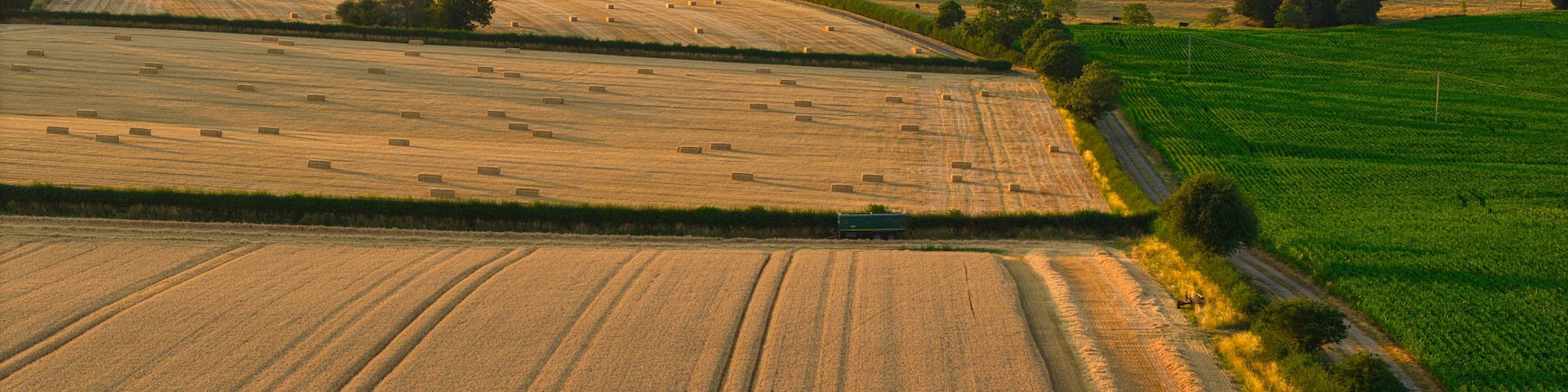 Uma colheitadeira trabalhando em um campo, com turbinas eólicas e uma paisagem rural ao fundo.