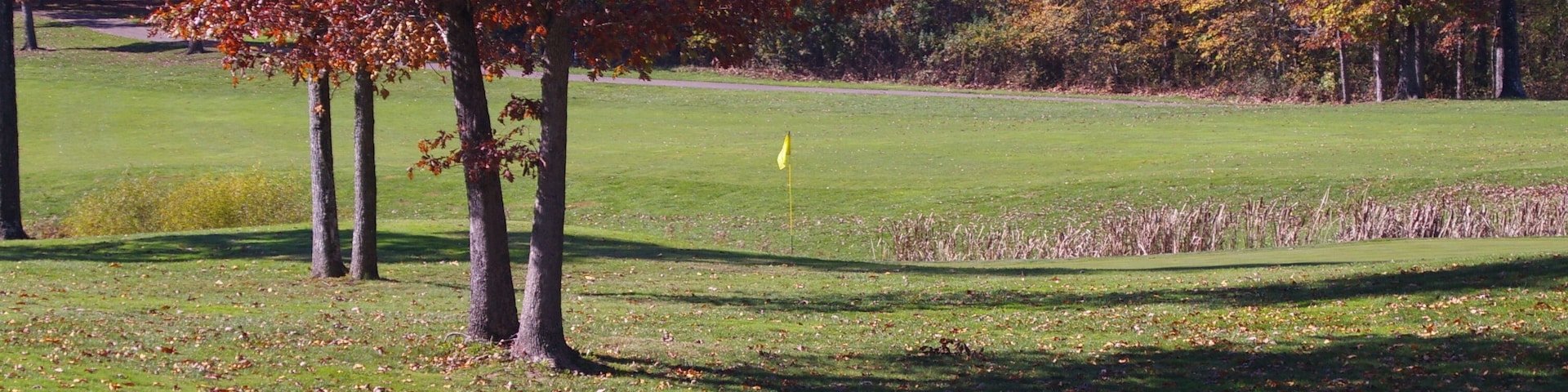 Um campo de golfe com folhagem outonal, uma bandeira e um gramado bem cuidado.