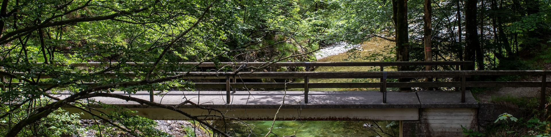 Uma ponte sobre um riacho límpido, cercada por uma floresta densa.