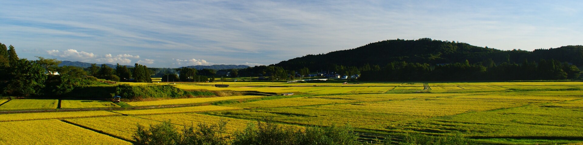Paisagem rural com campos, uma colina e algumas casas dispersas.