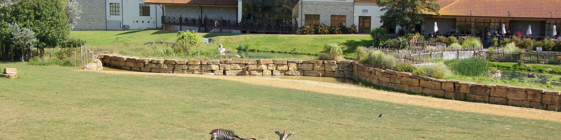 Chessington World of Adventure and Zoo.