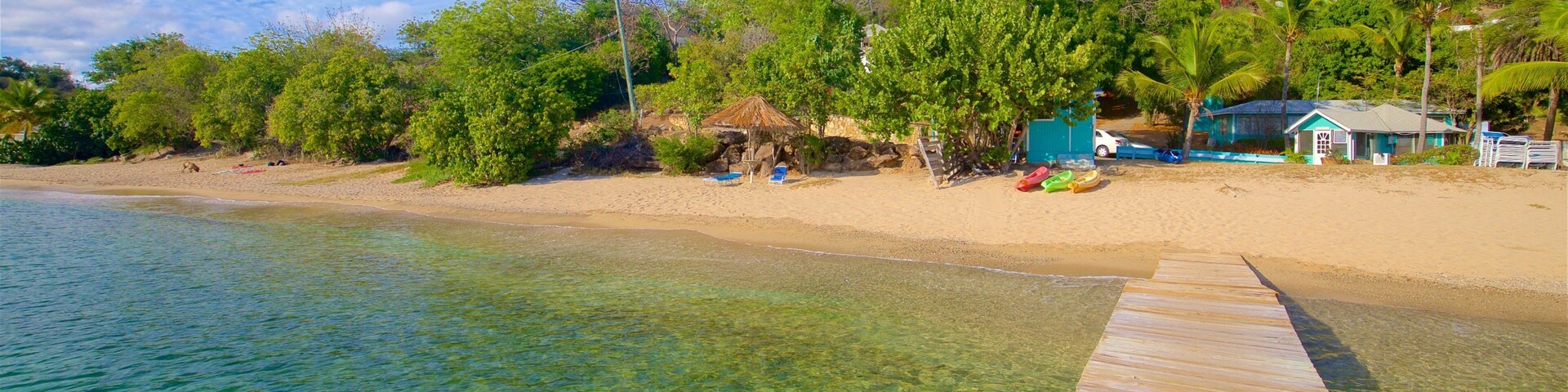 Galleon Beach featuring general coastal views, tropical scenes and a beach