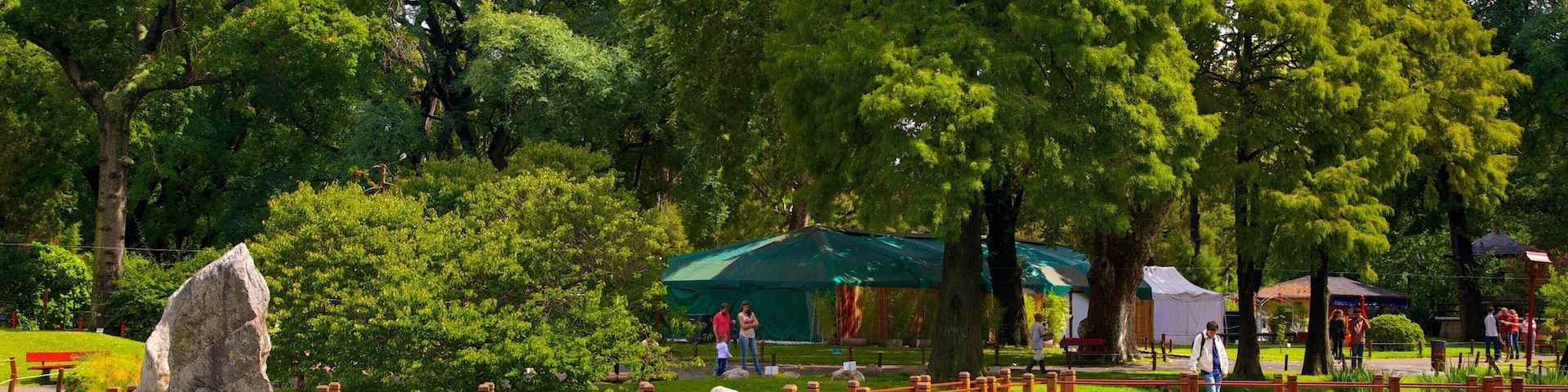 Japanese Garden featuring a garden and a pond