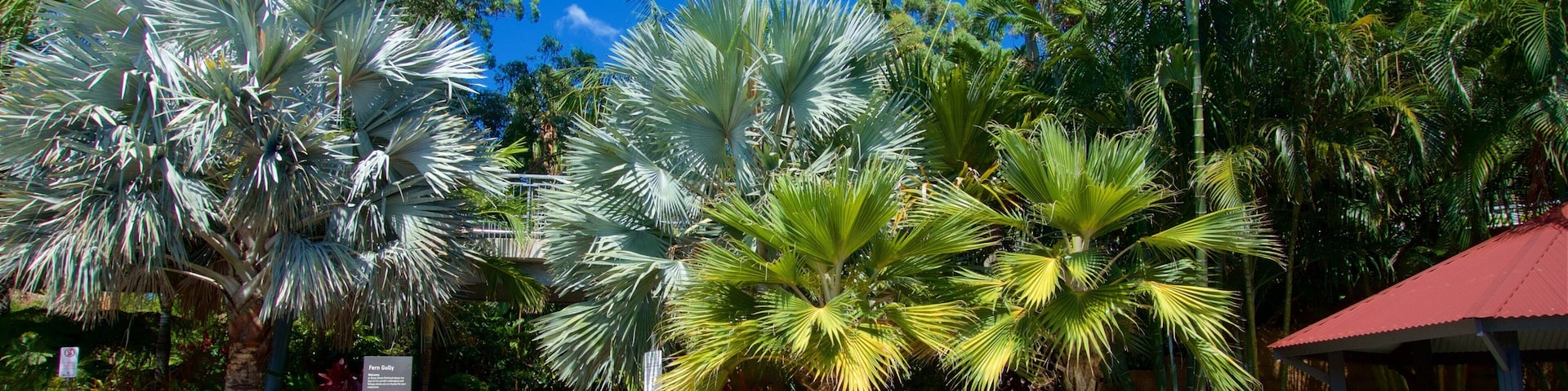 Um letreiro para o Parque Roma Street, com um logotipo de folha verde, cercado por árvores tropicais exuberantes e um céu azul límpido.