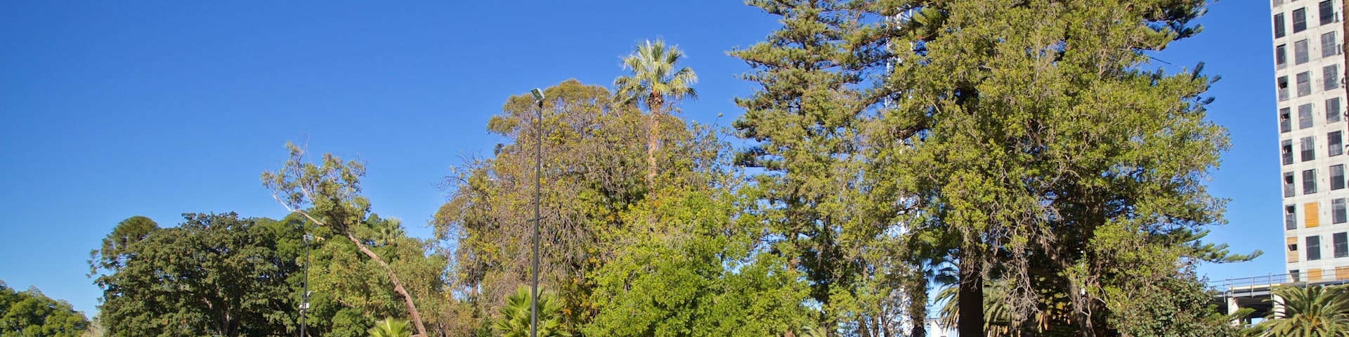 Supreme Court Gardens which includes a garden