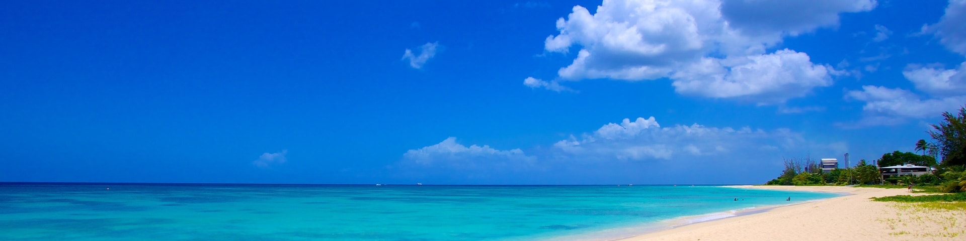 Brighton Beach which includes a sandy beach, tropical scenes and landscape views