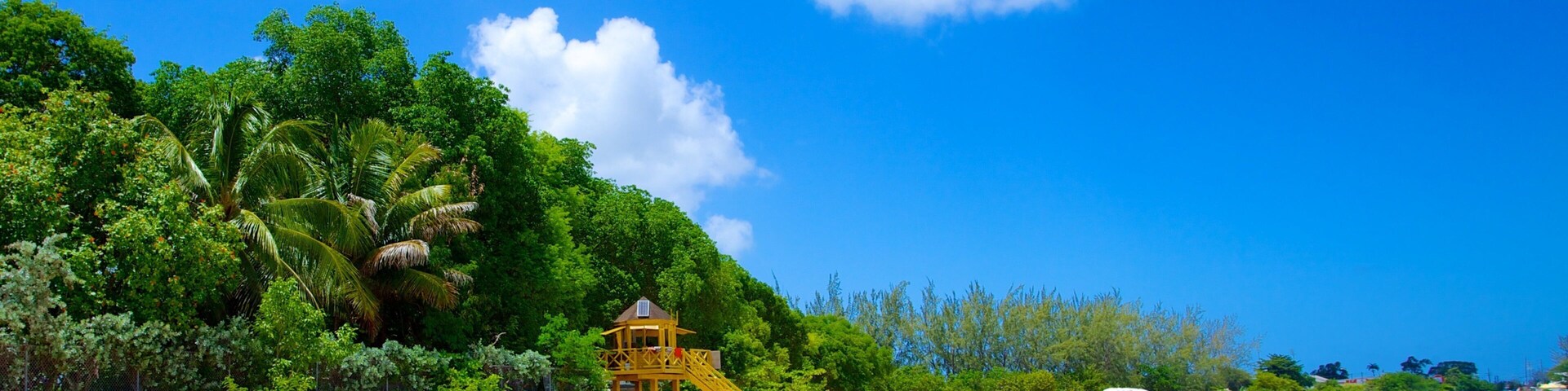Brighton Beach which includes a sandy beach, tropical scenes and landscape views