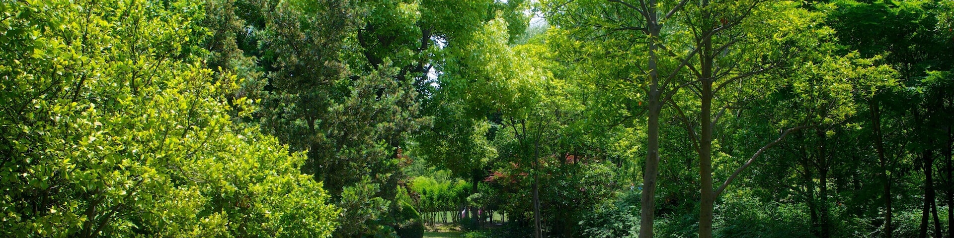 Century Park which includes a garden