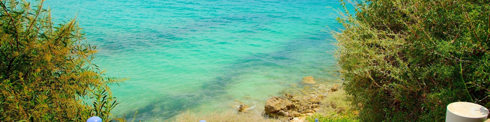 Coral Bay Beach featuring general coastal views