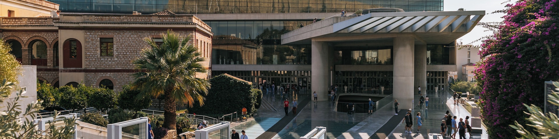 Edifício moderno com fachada de vidro, uma palmeira e uma escadaria que leva a um andar superior.