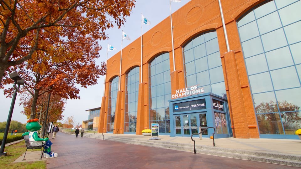White River State Park caracterizando uma cidade, cores do outono e um parque