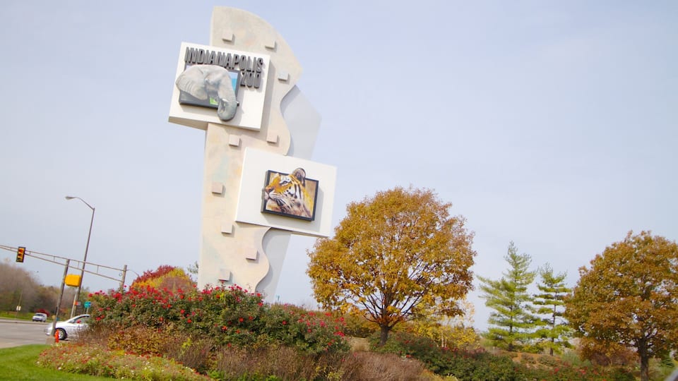 Indianapolis Zoo mostrando folhas de outono, animais de zoológico e sinalização