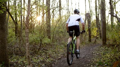 Ciclista em trilha na floresta.