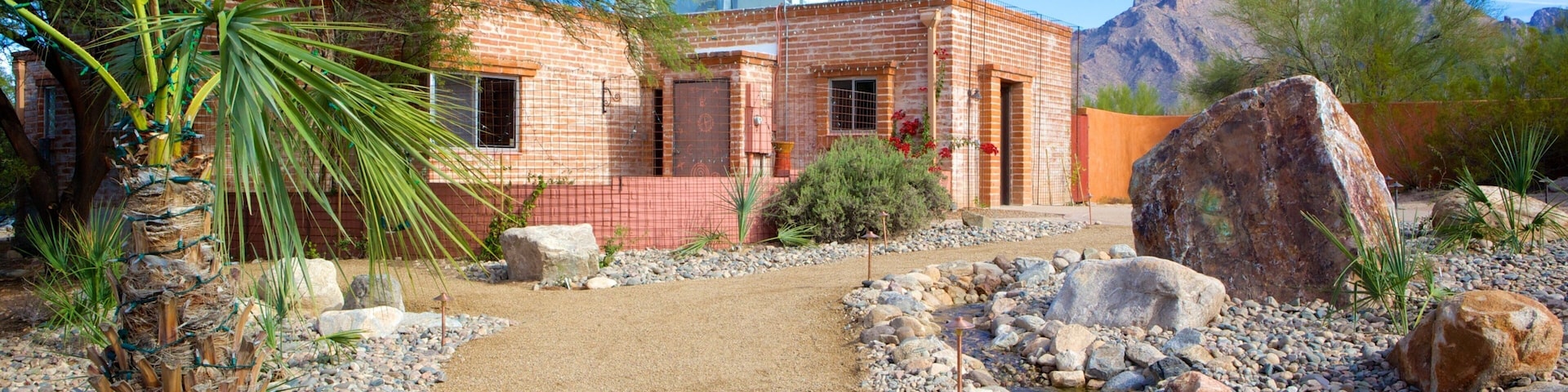 Tohono Chul Park featuring a park