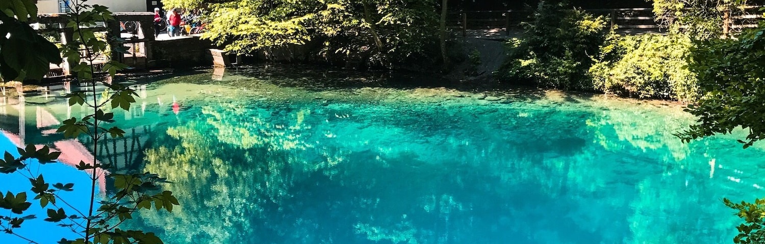 Water clear as crystal and blue like the sky #water #blautopf #ulm #beautiful #nice #lake #sea #blue #sky #germany #deutschland