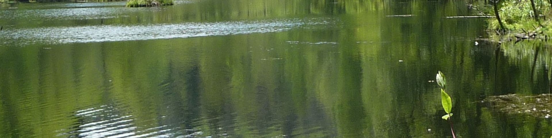 Ungeheuersee ohne Ungeheuer