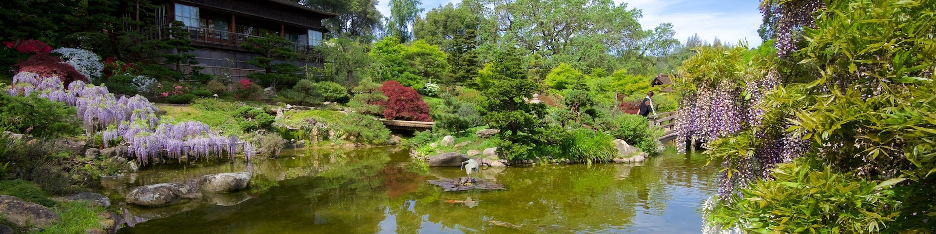 Um jardim tranquilo com um lago, vegetação exuberante e um edifício tradicional.