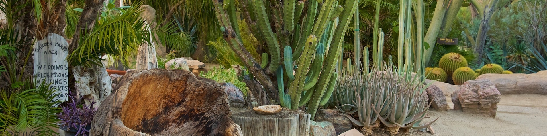 Moorten Botanical Garden and Cactarium which includes a garden and desert views