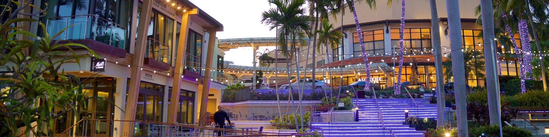 Broward Center for the Performing Arts which includes a park
