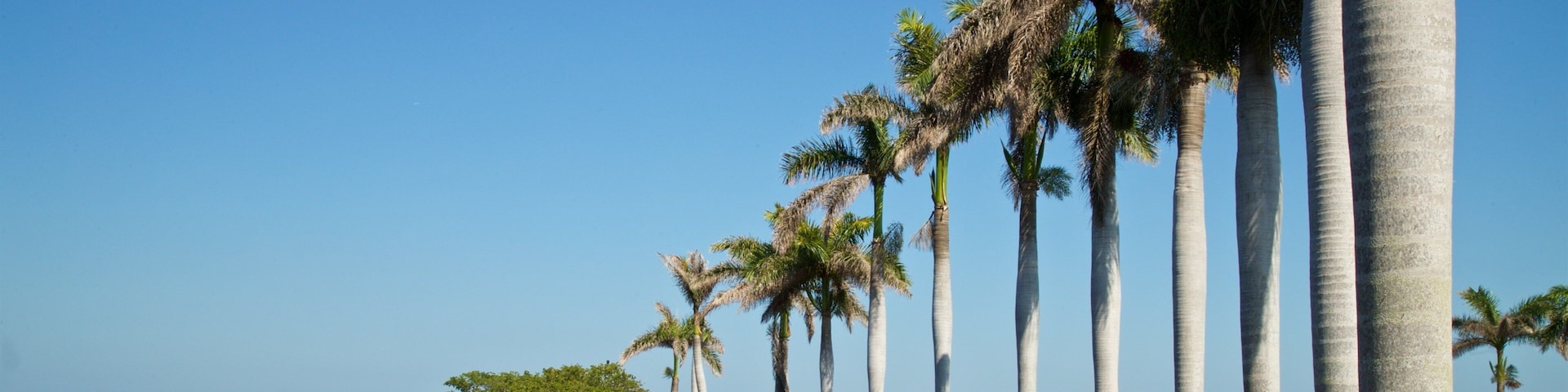 Deering Estate at Cutler which includes a park and general coastal views
