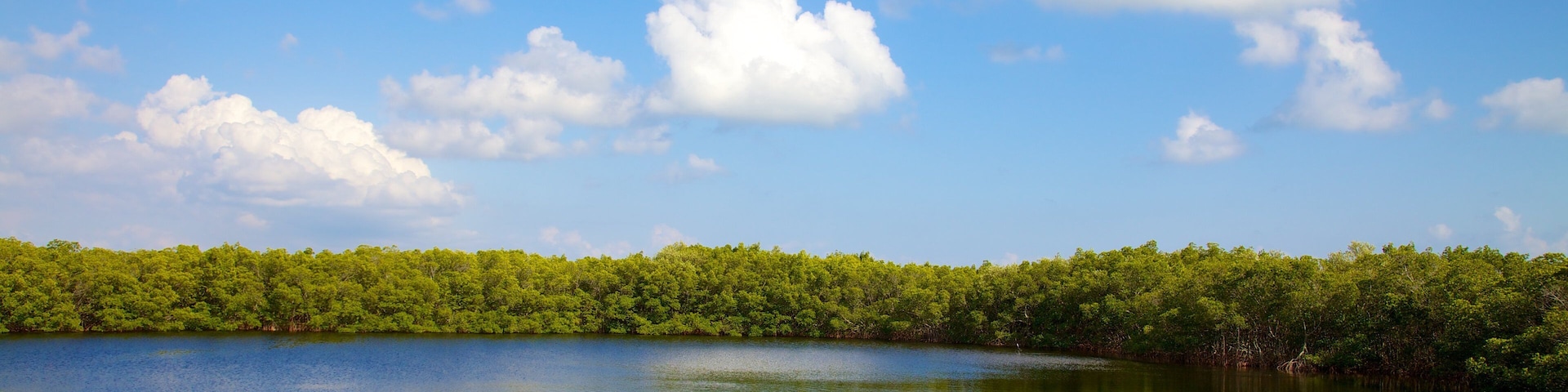 Weedon Island Preserve featuring forests and landscape views