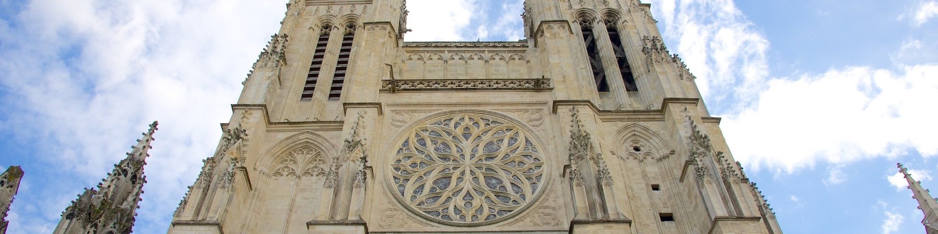 Cathedrale St. Andre showing heritage architecture and a church or cathedral