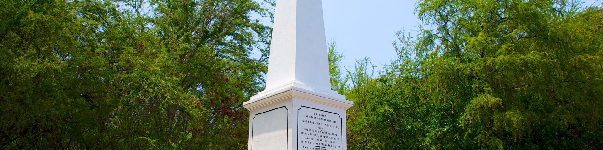 Captain Cook Monument featuring a monument