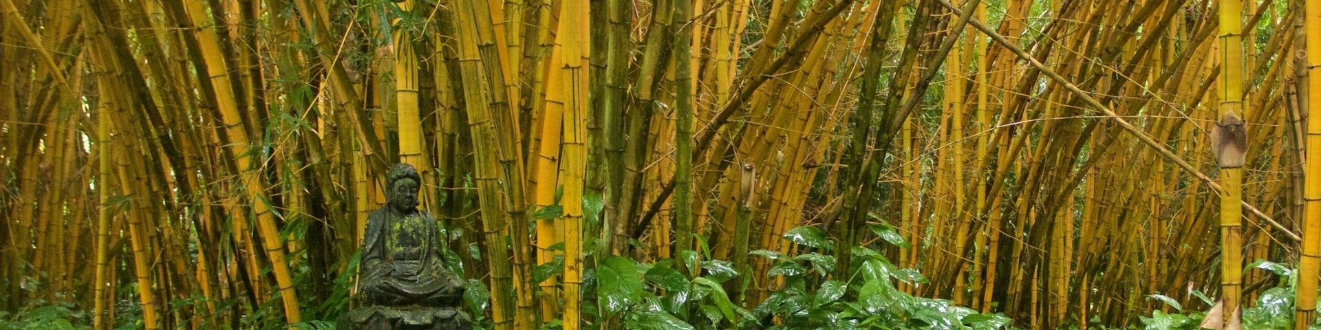 National Tropical Botanical Garden showing a monument and a statue or sculpture