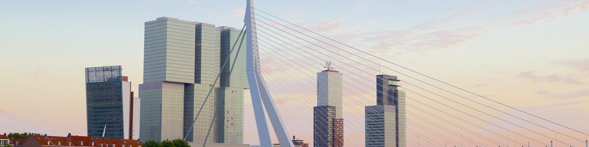 Erasmus Bridge showing boating, modern architecture and general coastal views