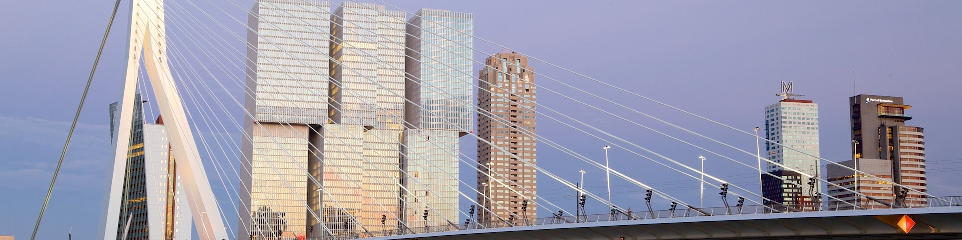 Erasmus Bridge featuring modern architecture, a bridge and a city