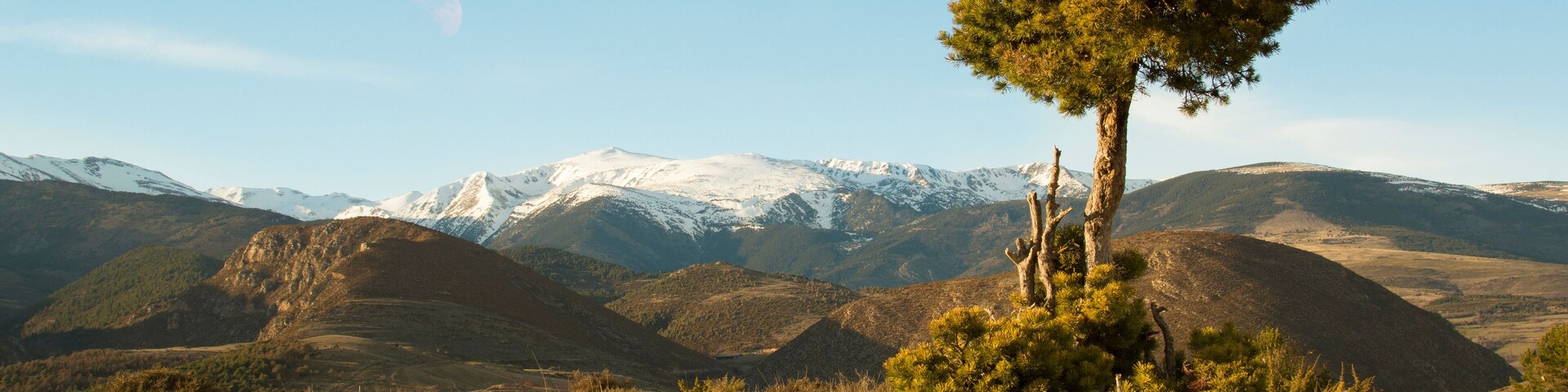 Paisagem montanhosa com uma árvore imponente em primeiro plano e picos nevados ao fundo.
