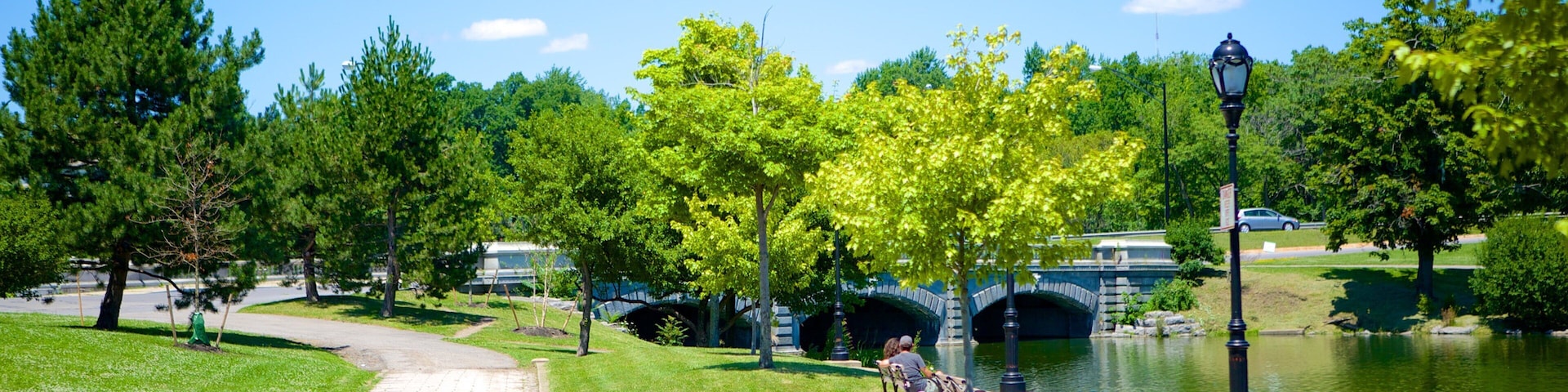 Delaware Park showing a river or creek and a park
