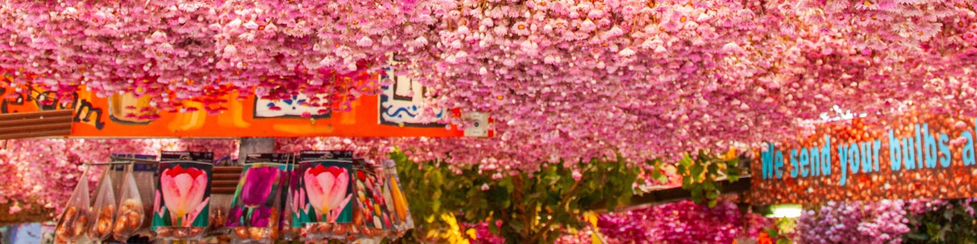 Flower Market featuring markets