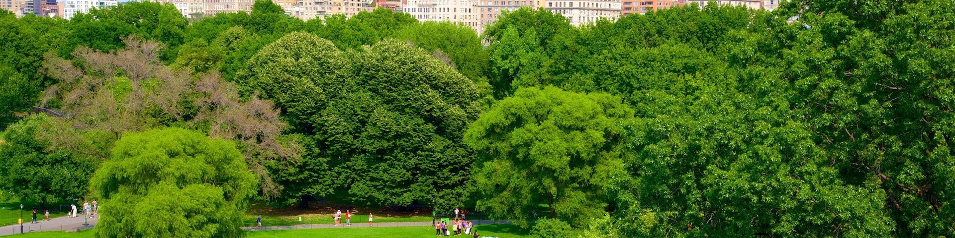 Belvedere Castle caracterizando uma cidade e um jardim