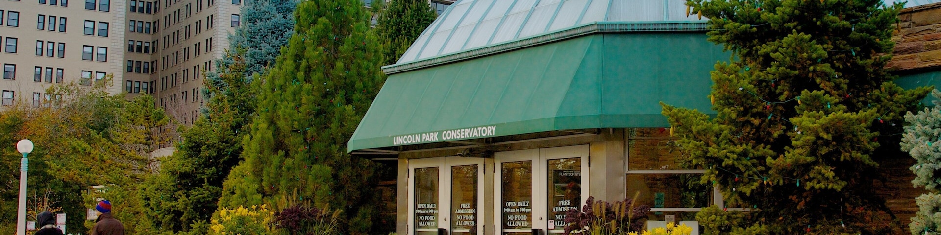 Lincoln Park Conservatory mostrando uma cidade, flores e um jardim