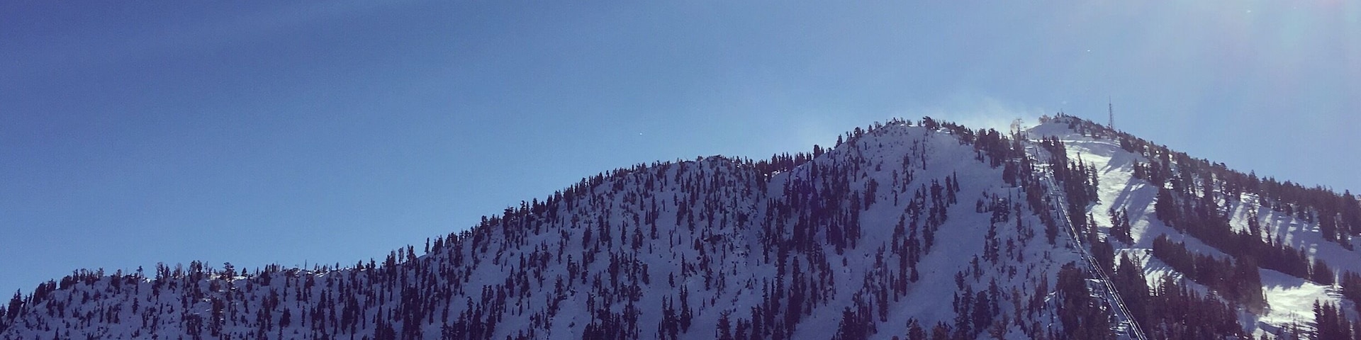 Mt. Rose
