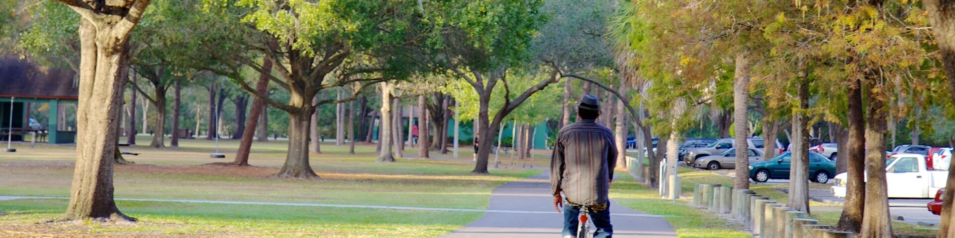 Um homem caminhando por um caminho pavimentado em um parque, com árvores e carros estacionados.