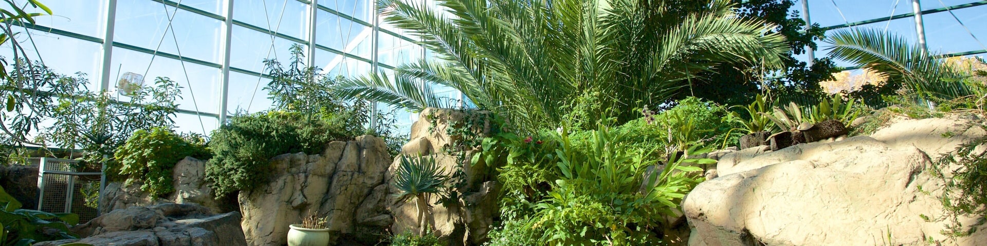 ABQ BioPark Botanic Garden which includes interior views and a park