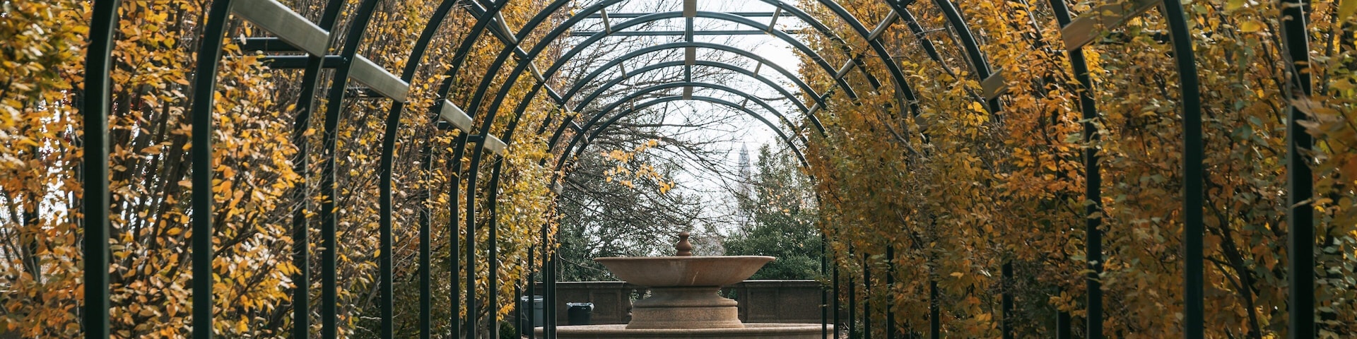 Meridian Hill Park which includes a park and autumn leaves
