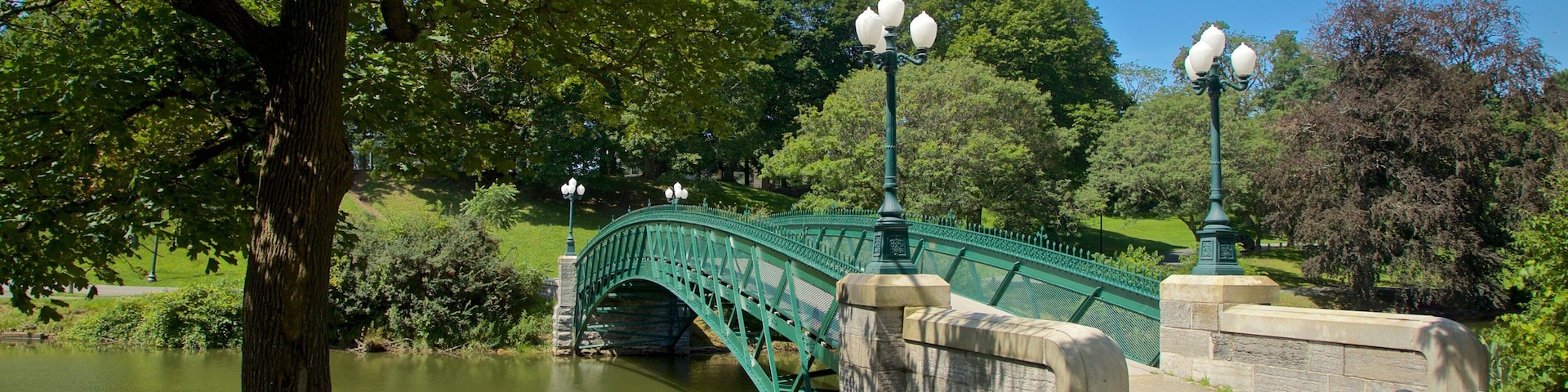 Washington Park caracterizando uma ponte e um rio ou córrego
