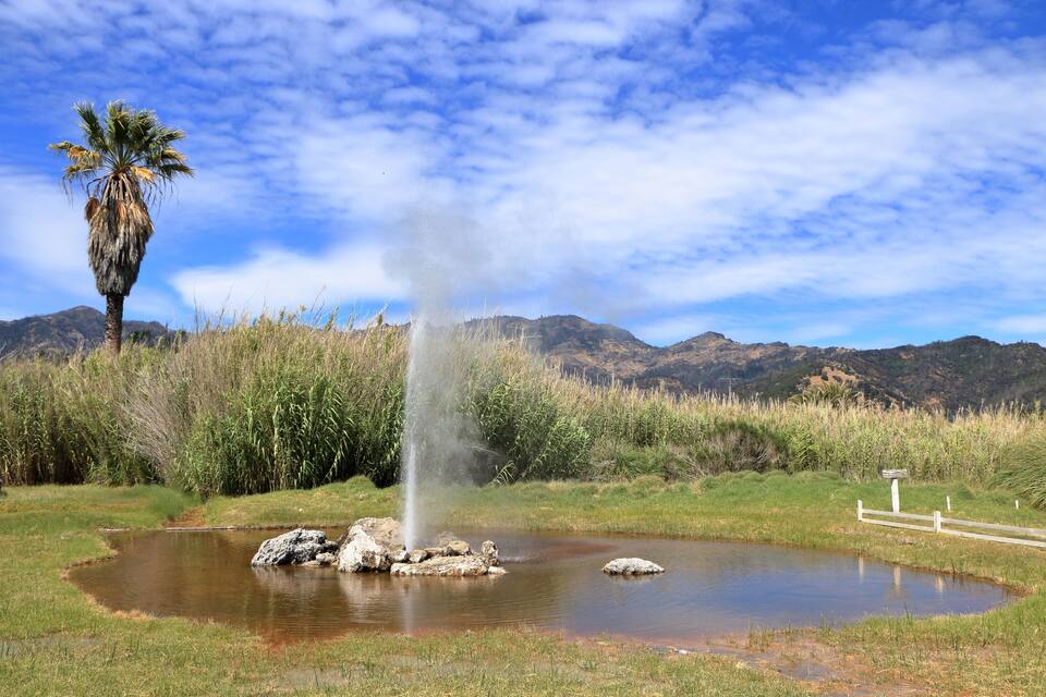 Paisagem natural com uma fonte de água, uma palmeira e montanhas ao fundo.