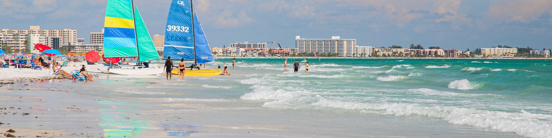 Siesta Key Beach showing general coastal views and a beach