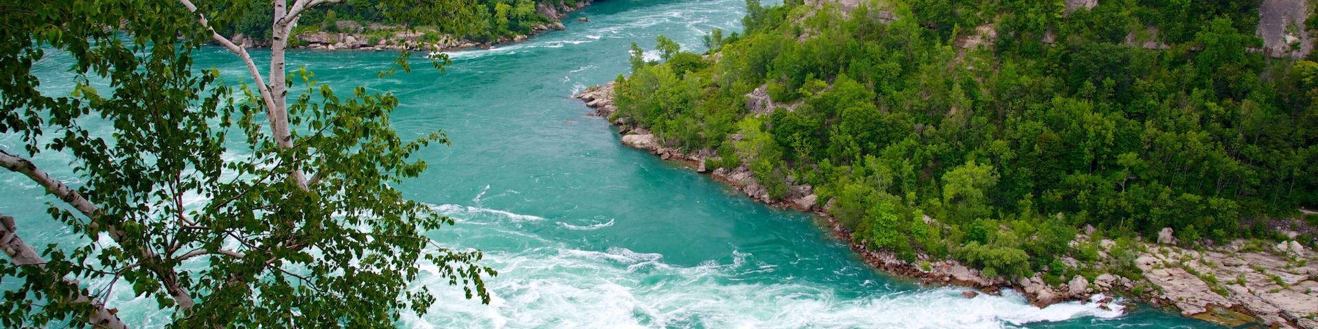 Whirlpool State Park que inclui um desfiladeiro ou canyon, um parque e paisagem