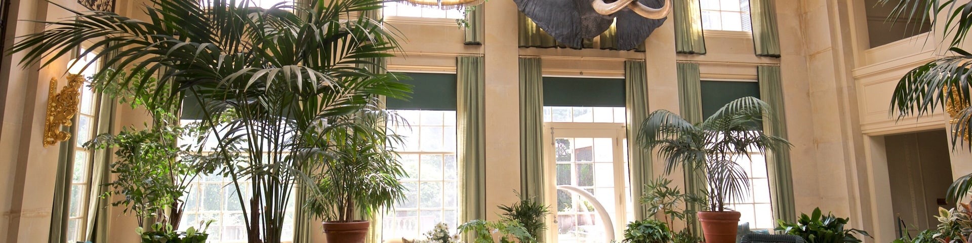 George Eastman House que inclui elementos de patrimônio, vistas internas e uma casa
