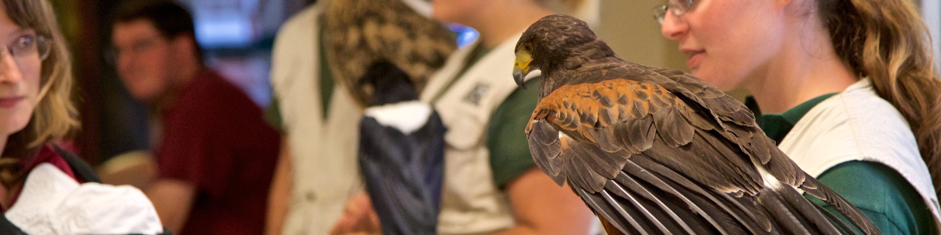 Rosamond Gifford Zoo featuring bird life and zoo animals as well as an individual femail