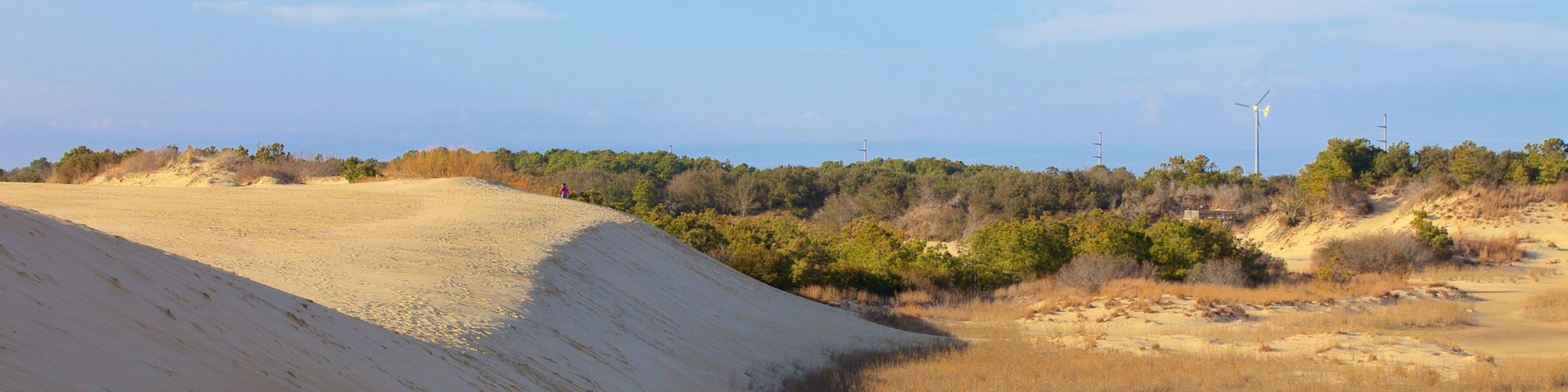 Jockey\'s Ridge State Park showing tranquil scenes