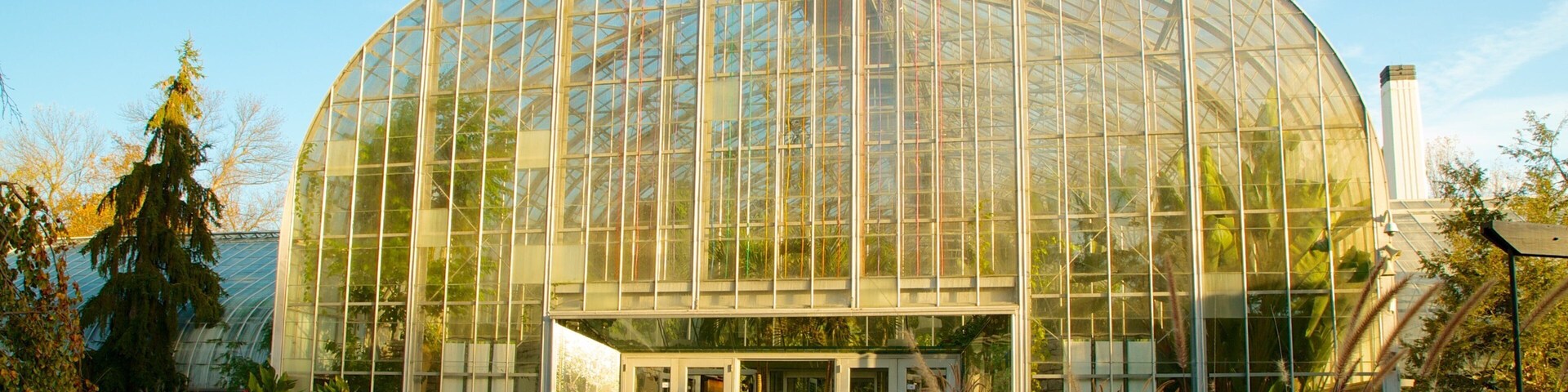 Krohn Conservatory mostrando um parque e arquitetura moderna