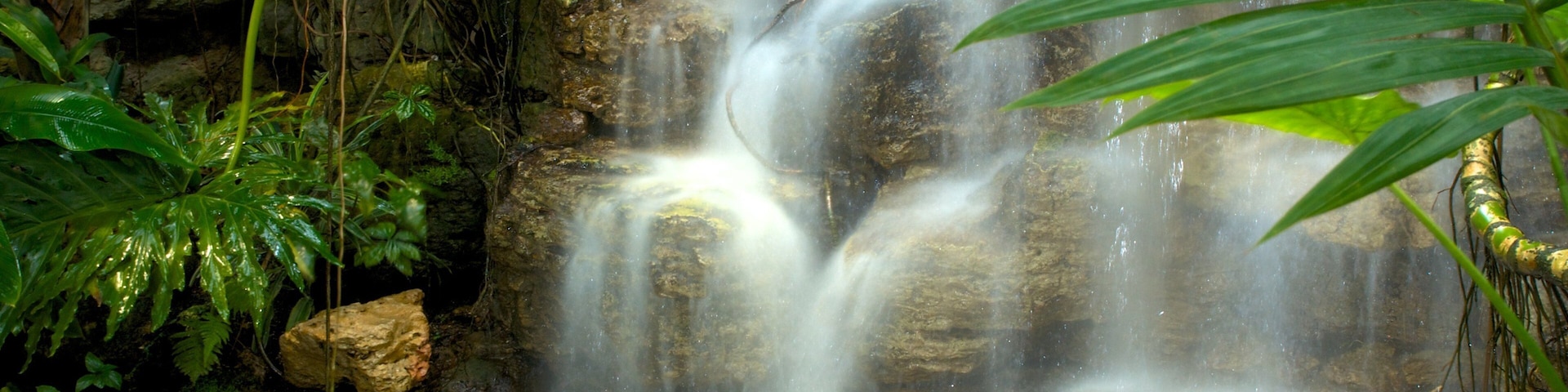 Krohn Conservatory que inclui uma cachoeira