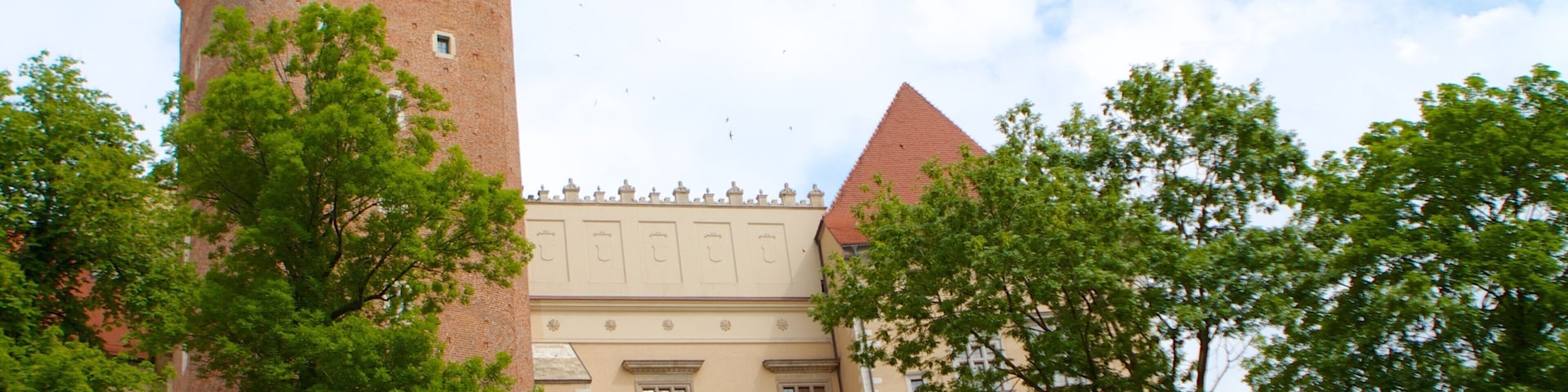 Planty Park featuring heritage architecture and a castle